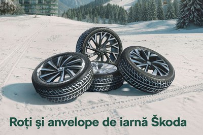 TESS SRL | Roti de iarna Skoda